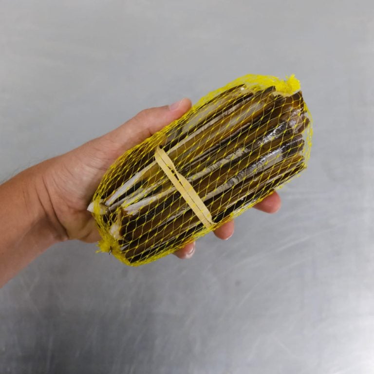 Comprar Calamar Fresco de Potera al Mejor Precio