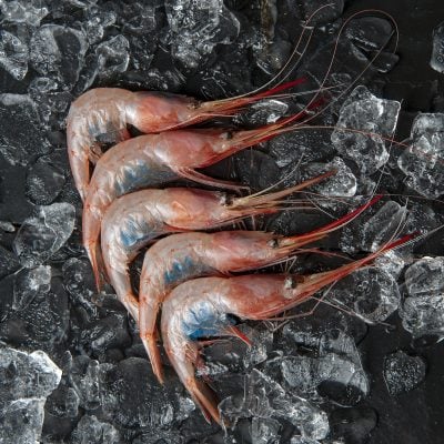 Quisquilla al Mejor Precio (Cruda o Cocida) en Esenciadelmar