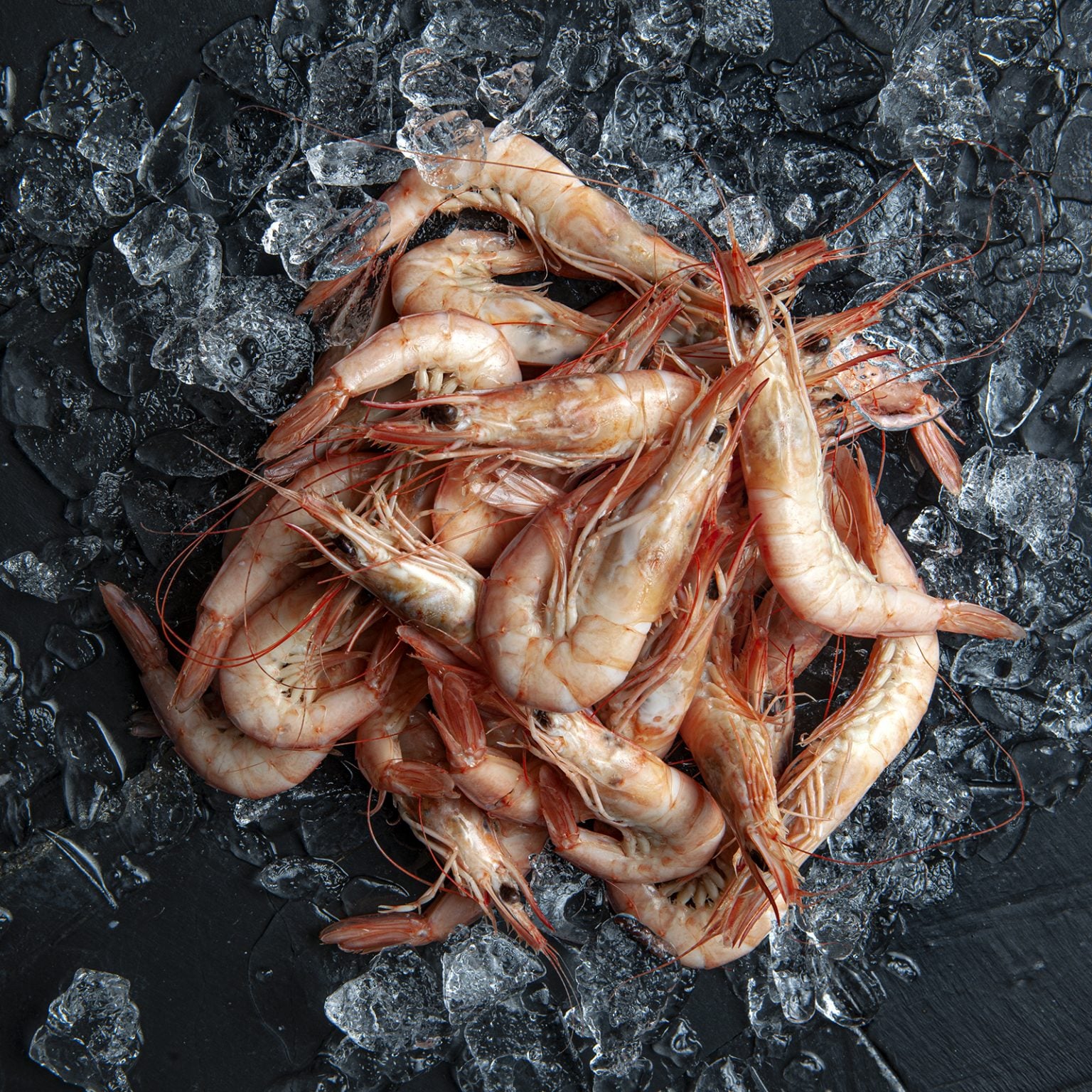 Comprar Gamba Roja Fresca al Mejor Precio | Esencia del Mar