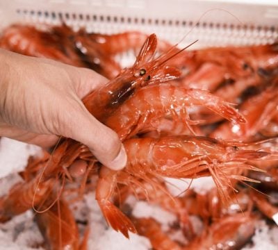 Tipos de Gamba Roja en España, ¿Cuál comprar?