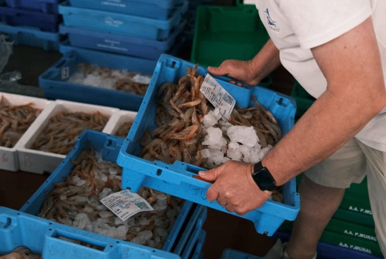 Lonjas de Pescado y Marisco en España, ¿Cómo funcionan?