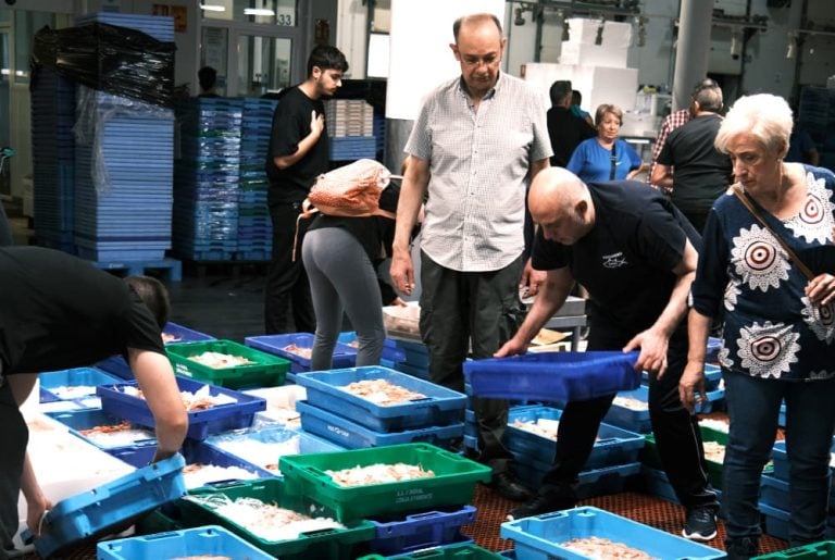 Lonjas de Pescado y Marisco en España, ¿Cómo funcionan?