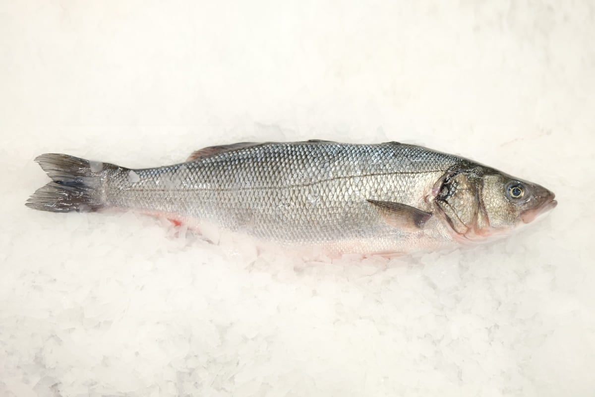 Lista de Pescados Blancos y sus Propiedades | Esenciadelmar