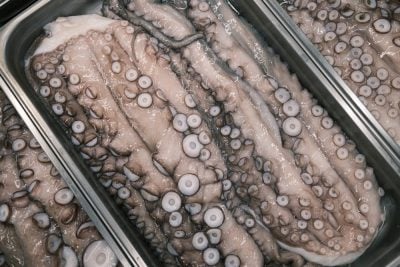 Peso del Pescado y Marisco | Esencia del Mar