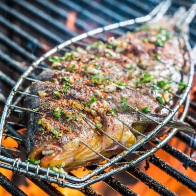 Diferencias entre Pijota, Merluza y Pescadilla | Esenciadelmar