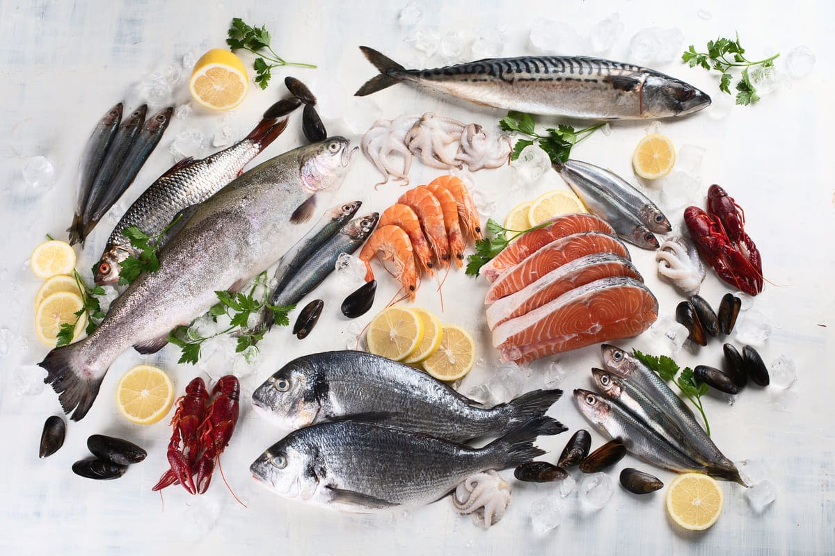 Productos del Mar | Selección de Pescado y Marisco