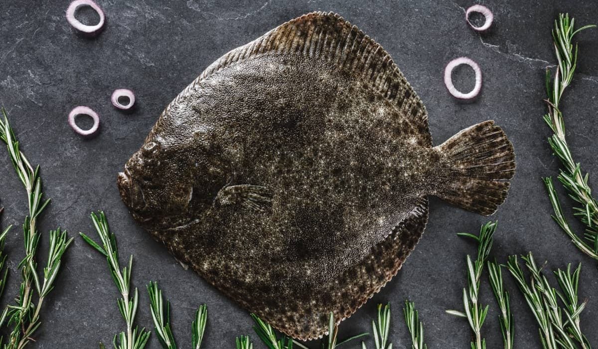 5 Mejores Pescados Planos Comestibles en España